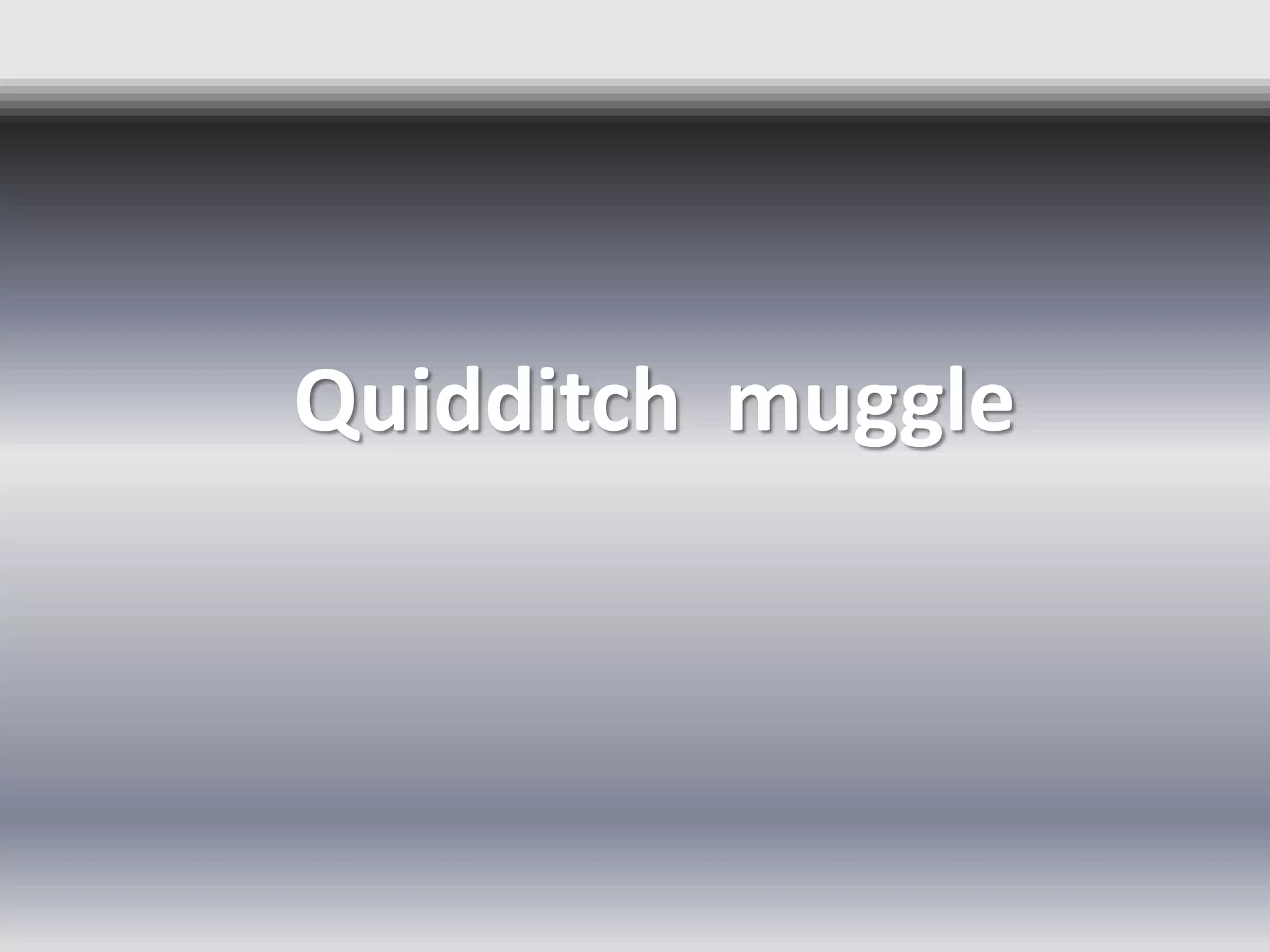 Quidditch muggle | PPT