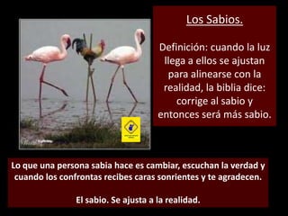 Quien es esa persona | PPTX