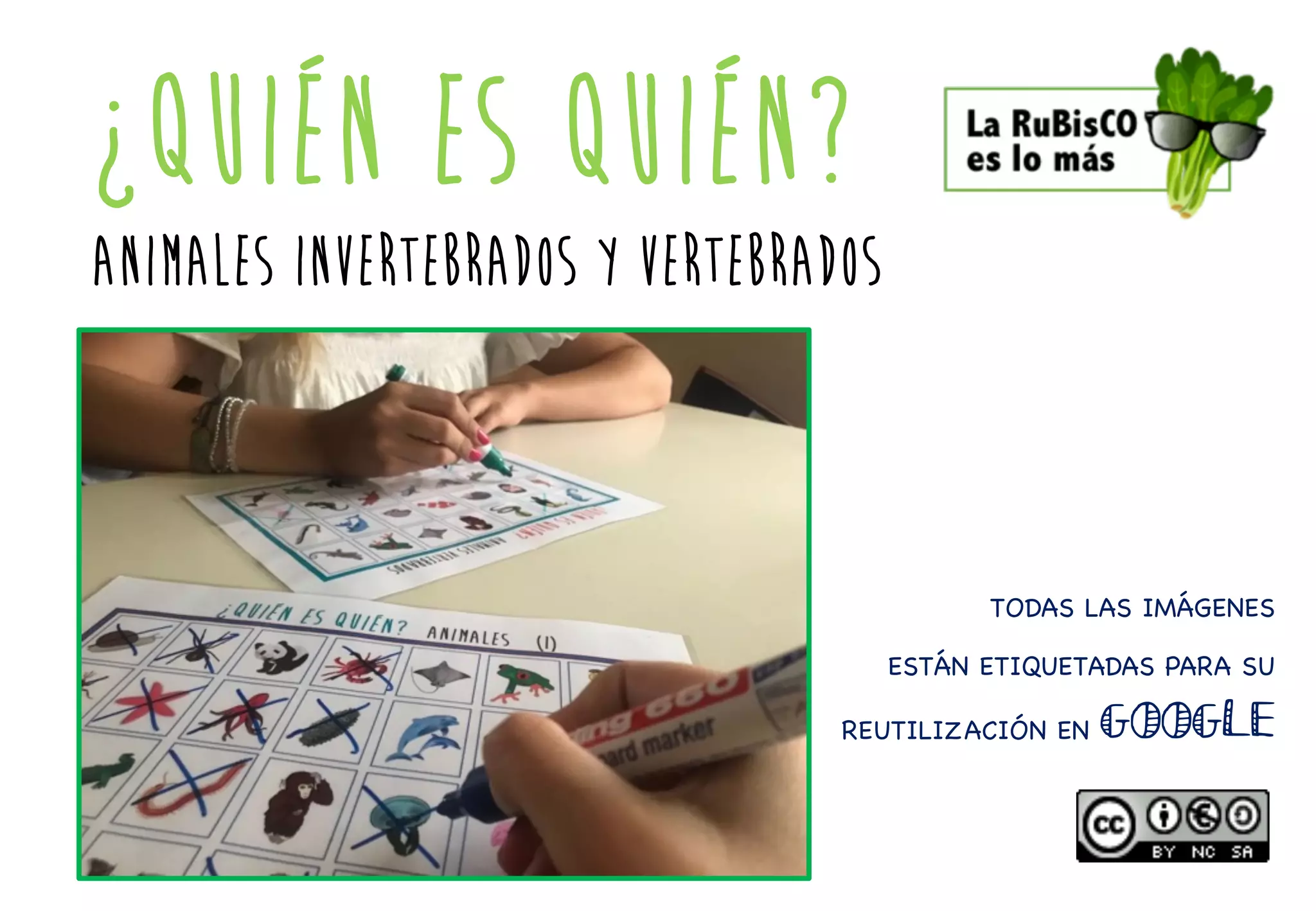 Juego ¿Quién es quién? Animales invertebrados y/o vertebrados | PDF
