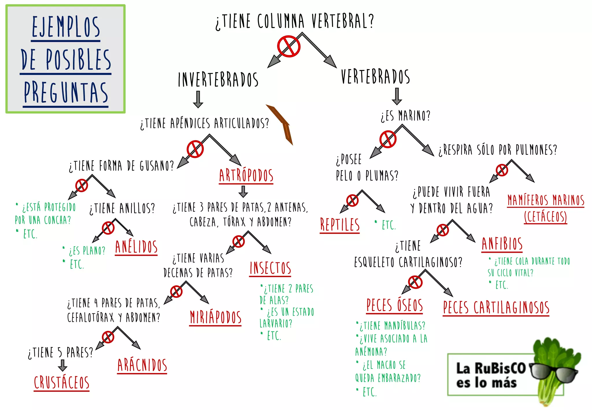 Juego ¿Quién es quién? Animales invertebrados y/o vertebrados | PDF