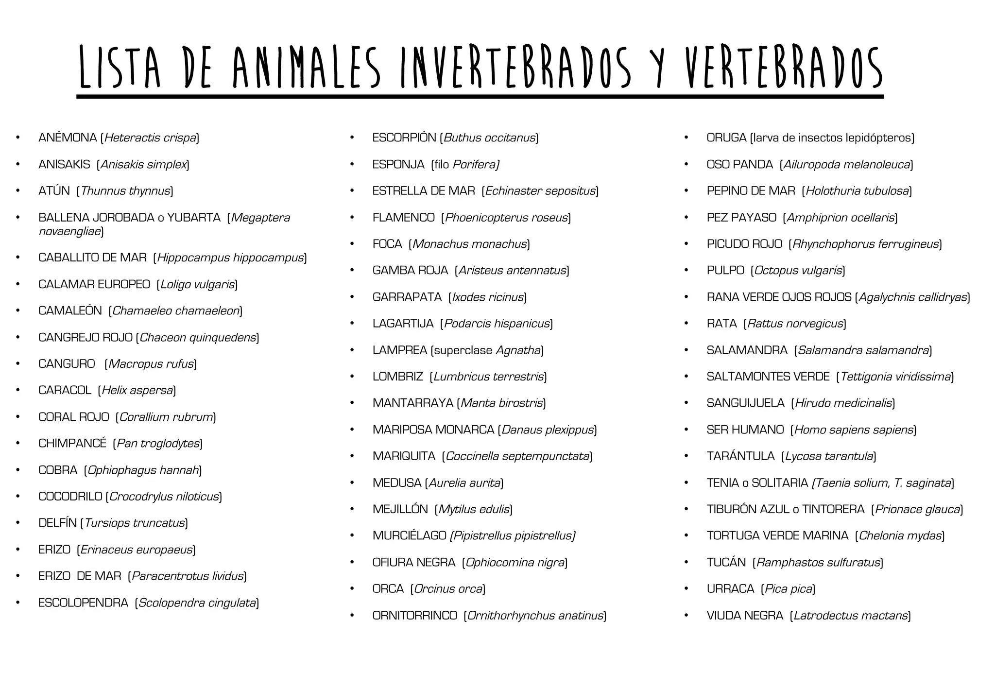 Juego ¿Quién es quién? Animales invertebrados y/o vertebrados | PDF