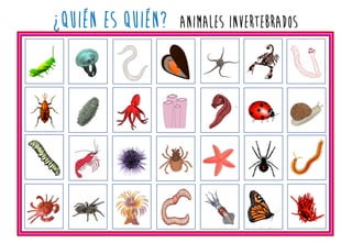 Juego ¿Quién es quién? Animales invertebrados y/o vertebrados | PDF