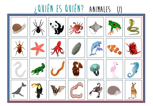 Juego ¿Quién es quién? Animales invertebrados y/o vertebrados