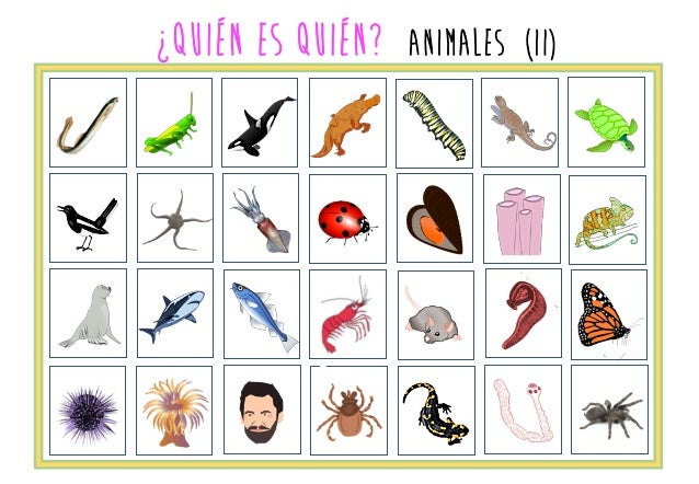 Juego ¿Quién es quién? Animales invertebrados y/o vertebrados