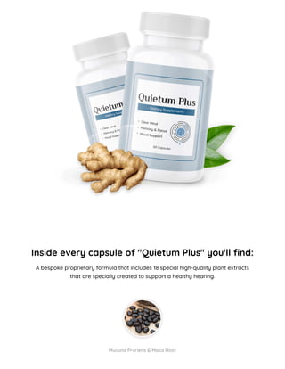 Quietum Plus - Top Offer, Now Even Better | PDF