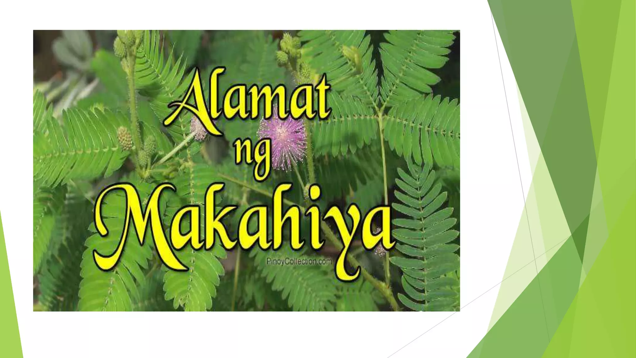 ALAMAT | PPTX