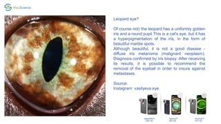 QuikVue vet case study | PPT