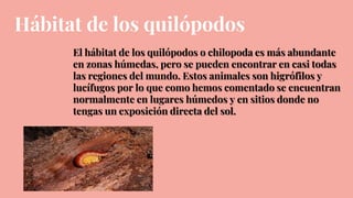 Quilopodos y diplopodos | PPTX
