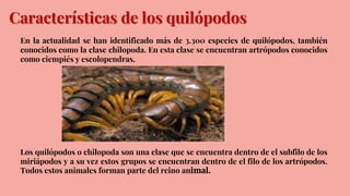 Quilopodos y diplopodos | PPTX