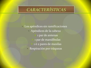 Quilópodos (ciempiés) y diplopodos (milpiés) | PPTX
