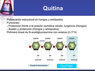 Quim carbohidratos4 | PPS