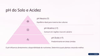 Quimica-do-Solo-Fundamentos-e-Importancia.pptx