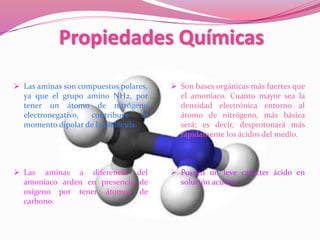 Aminas, Amidas, Nitrilos y Derivados Azufrados | PPTX