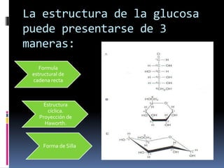 QUIMICA DE CARBOHIDRATOS.pptx