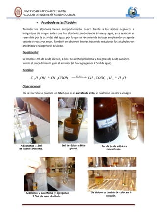 Quimica De Los Alcoholes Docx