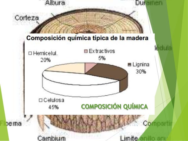 Quimica de Madera (Polimeros)