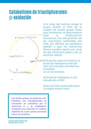 Quimica organica | PDF