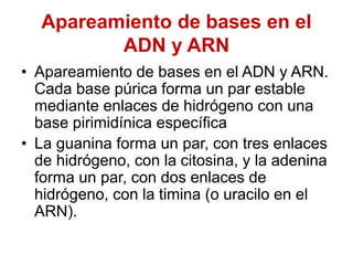 quimica organica II 10 acidos nucleicos.pptx