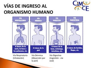 que son las sustancias quimicas y como id | PDF