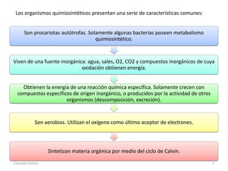 Quimiosíntesis | PPTX