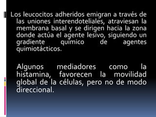 Quimiotaxís | PPTX
