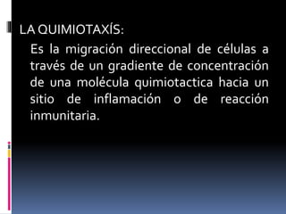 Quimiotaxís | PPT