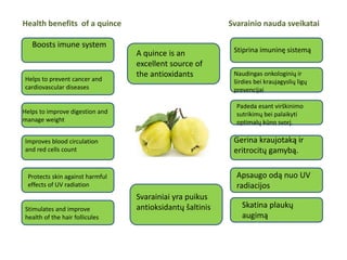 "Quinces - resources for health" | PPT