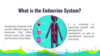 Coordinated Function of the Endocrine, Nervous, and Reproductive System | PPTX