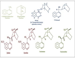 Quinine - Constitution | PDF