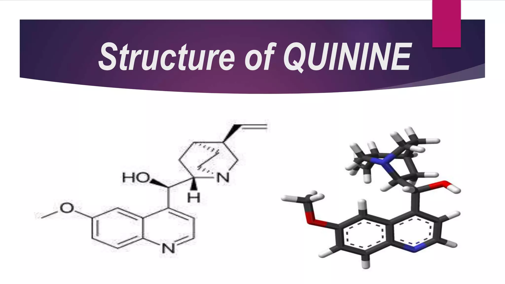 Quinine (2) | PPTX