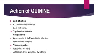 Quinine (2) | PPTX