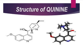 Quinine (2) | PPTX