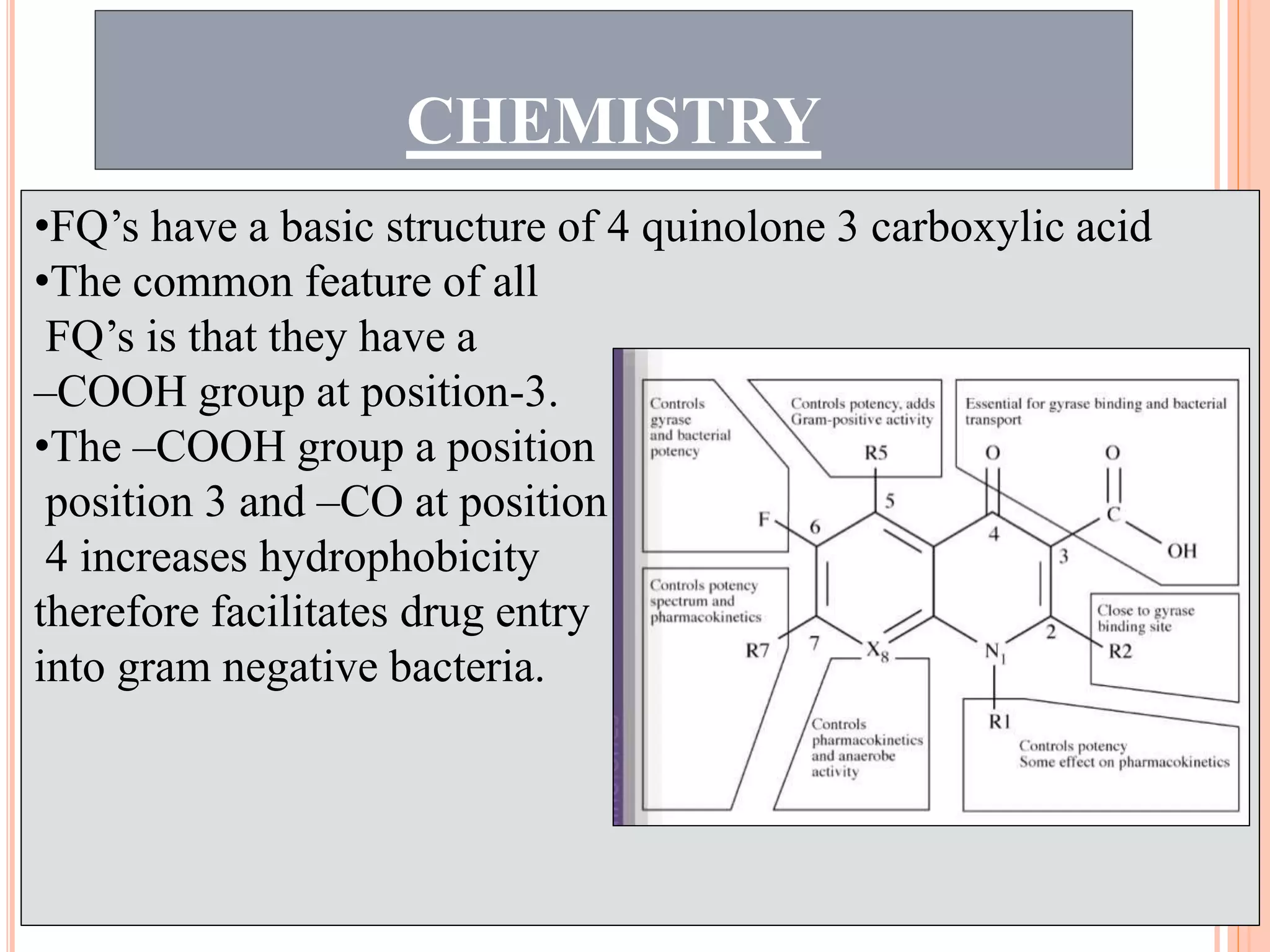 POWERPOINT PRESENTATION ON QUINOLINE | PPSX