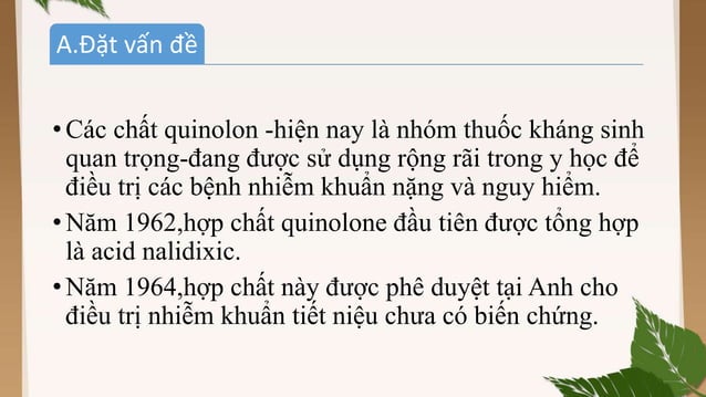 Quinolon | PPTX