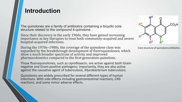 Quinolone antibiotic ( inflammation treatments ) | PPT