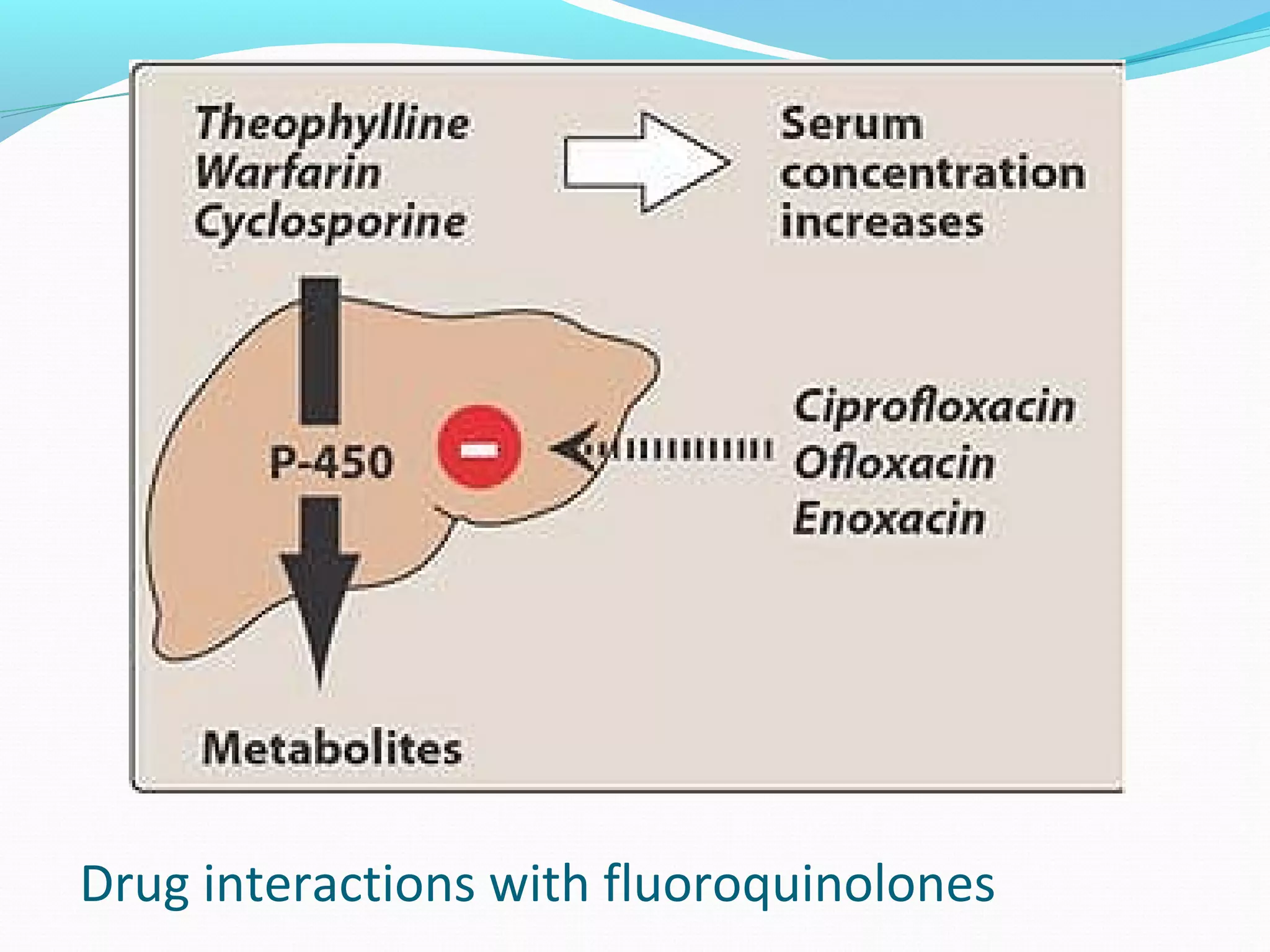 Quinolones | PPT