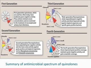 Quinolones | PPT