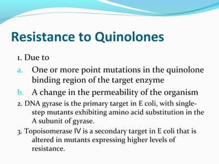 Quinolones | PPT