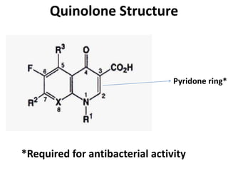 DNA Gyrase Inhibitors -Quinolones,Fluoroquinolones | PPTX