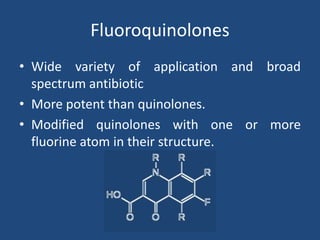 Quinolones | PPT
