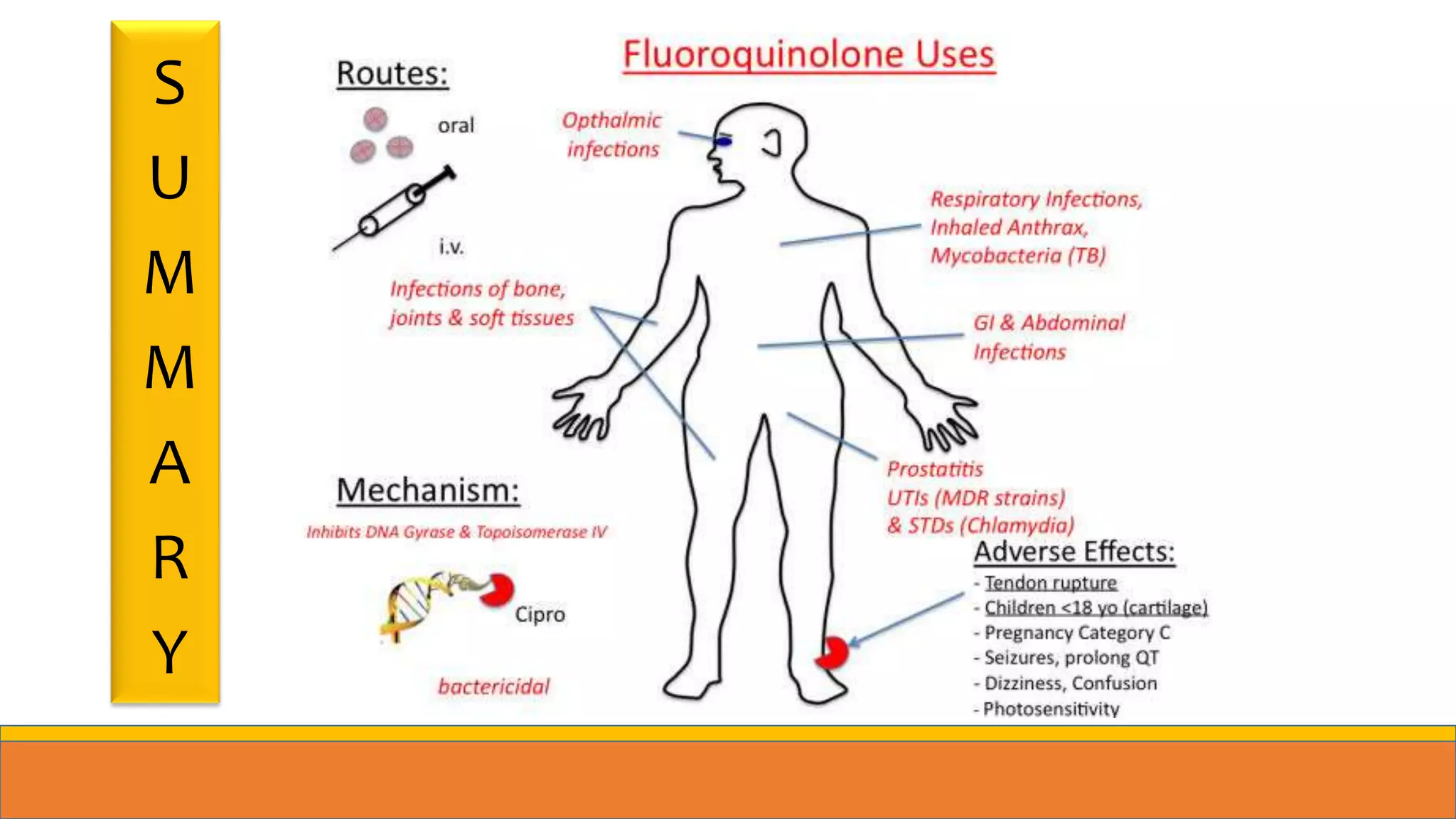 Quinolones & Fluoroquinolones | PPTX