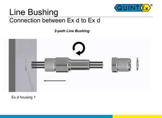 Quintex 2 path line bushing | PPT