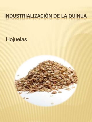 Quinua | PPTX