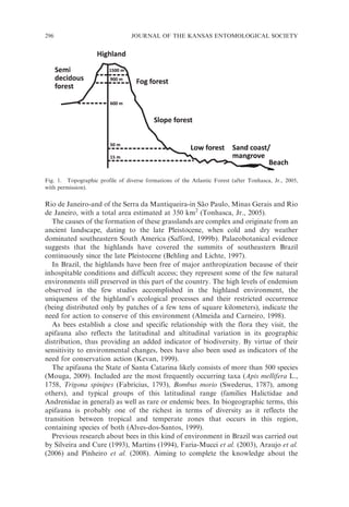 A High Grassland Bee Community in Southern Brazil: Survey and Annotated ...