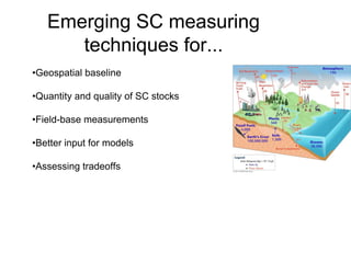 Quiroz - techniques for measuring soil C | PDF | Chemistry | Science
