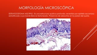 Quistes de vulva anatomia patologica .pptx