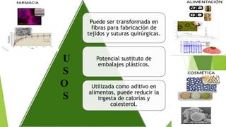 Quitina: Características, funciones y aplicaciones. | PPTX
