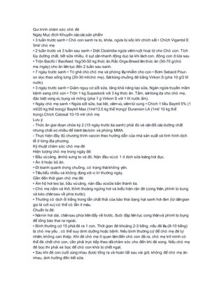 Qui trình chăm sóc chó đẻ | DOC