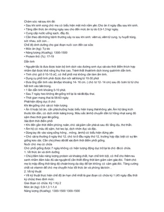 Qui trình chăm sóc chó đẻ | DOC