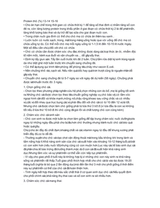 Qui trình chăm sóc chó đẻ | DOC